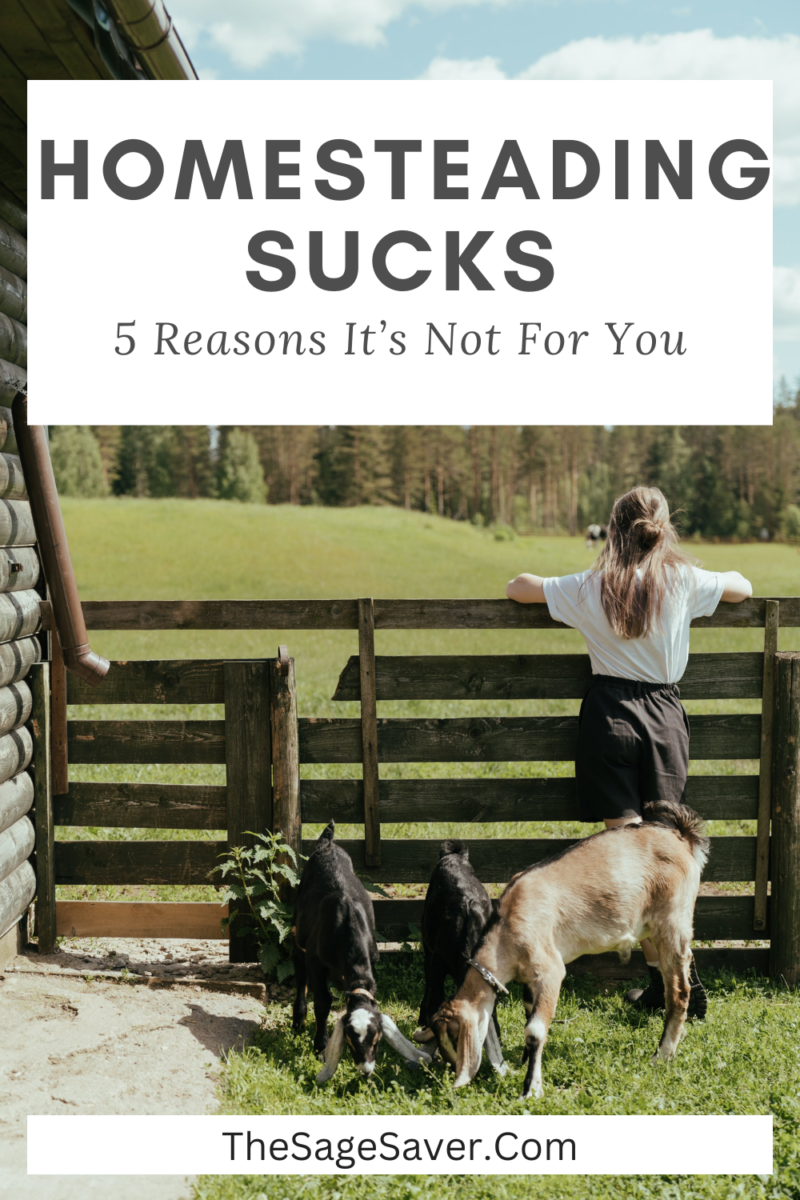 5 Reasons to Not Jump On The Homesteading Trend - The Sage Saver
